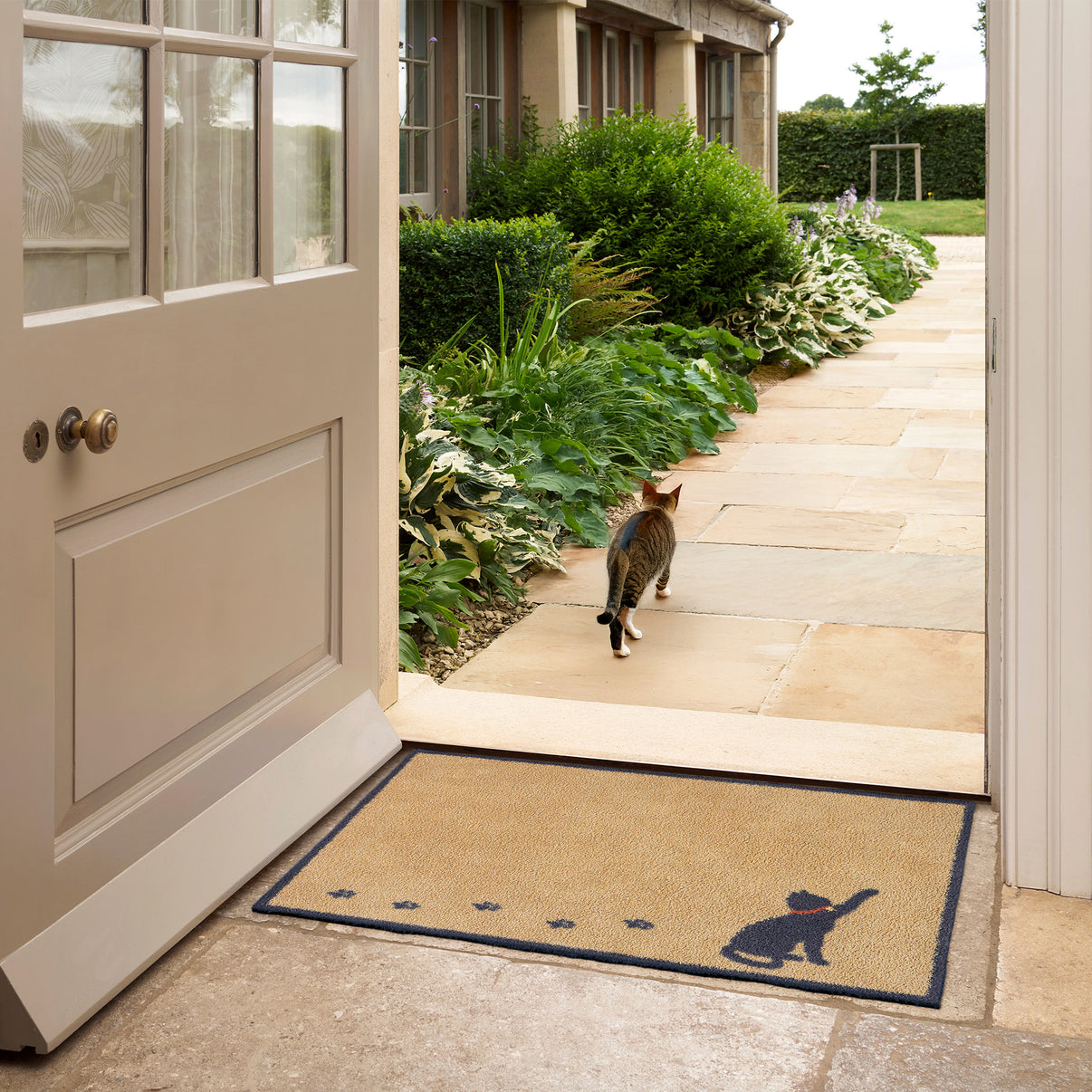 Cat Walk - Neutral – Turtle Mat