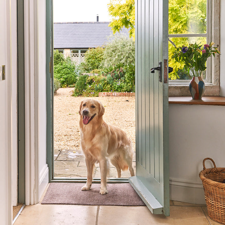 Washable Indoor Door Mats | Entrance & Inside Door Mats | Official ...