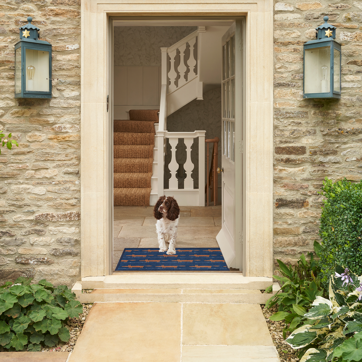 Running Mr Fox - Navy – Turtle Mat